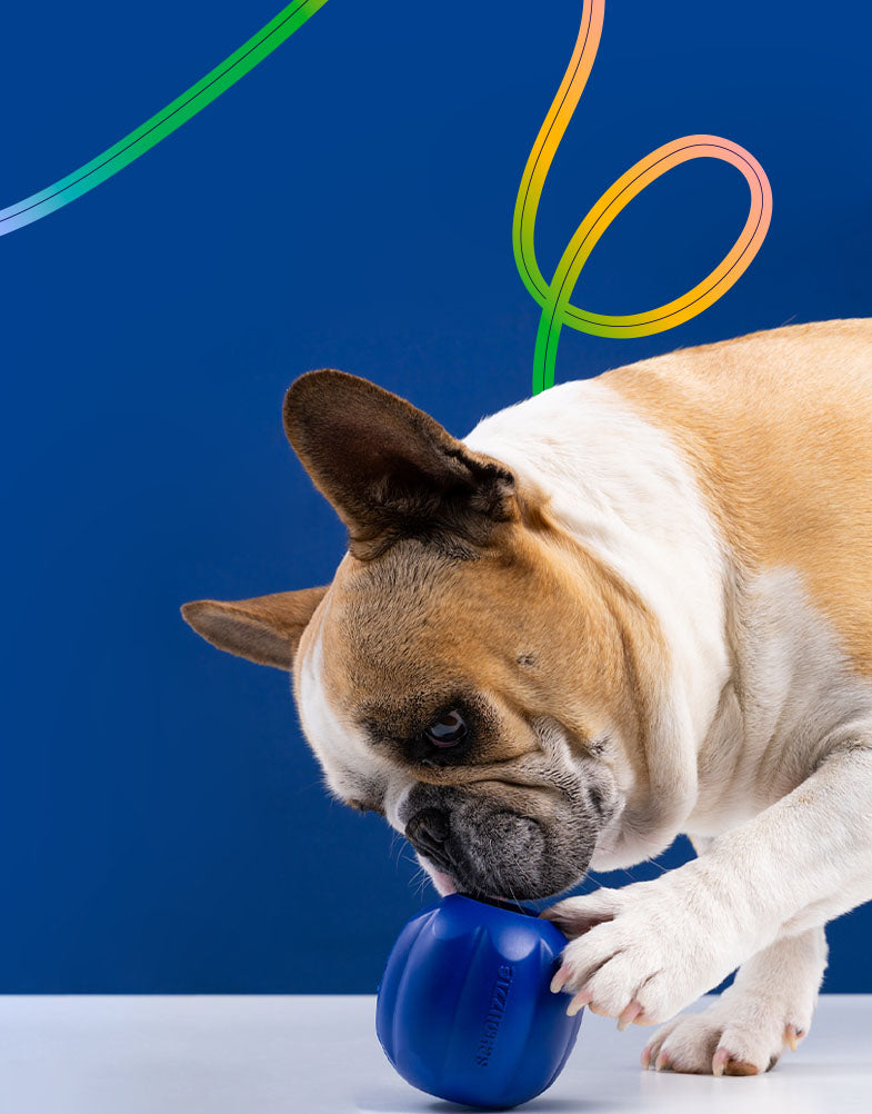 Schnuzzle | Like a ball, just 10,000x better – Schnuzzle Pty Ltd