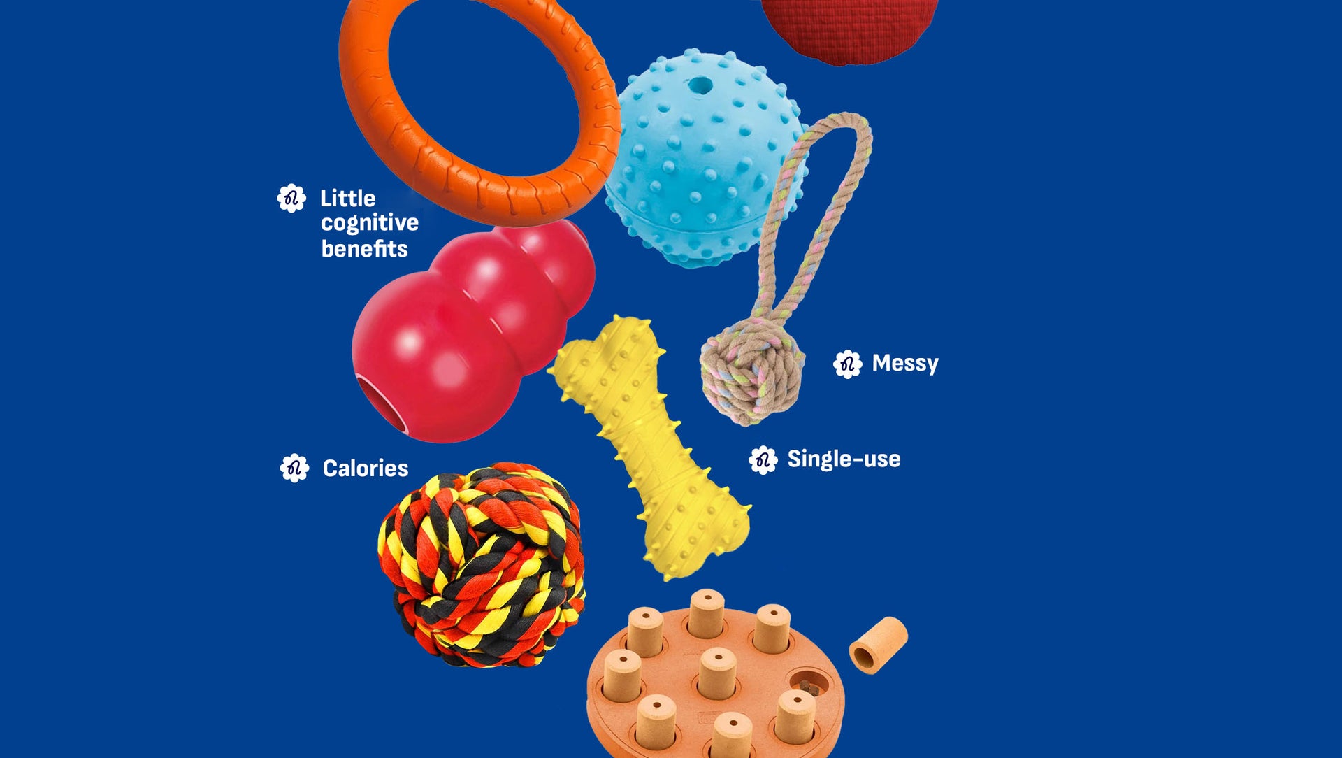 Schnuzzle | Like a ball, just 10,000x better – Schnuzzle Pty Ltd