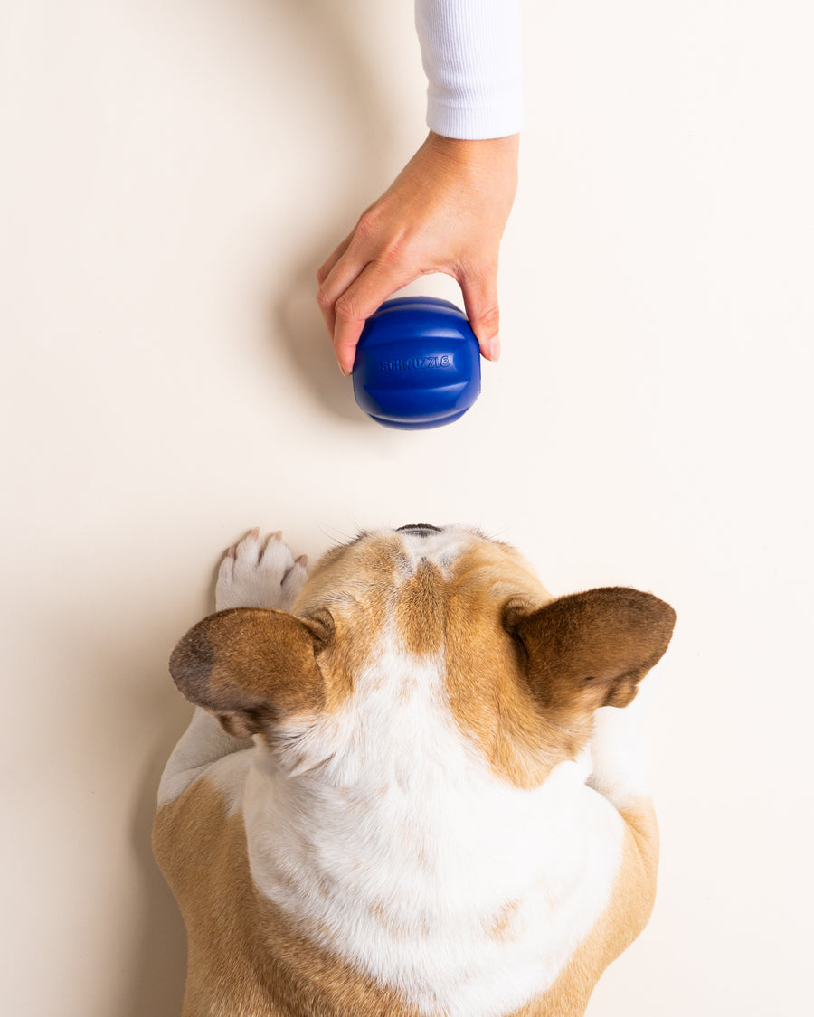 How it Works – Schnuzzle Pty Ltd