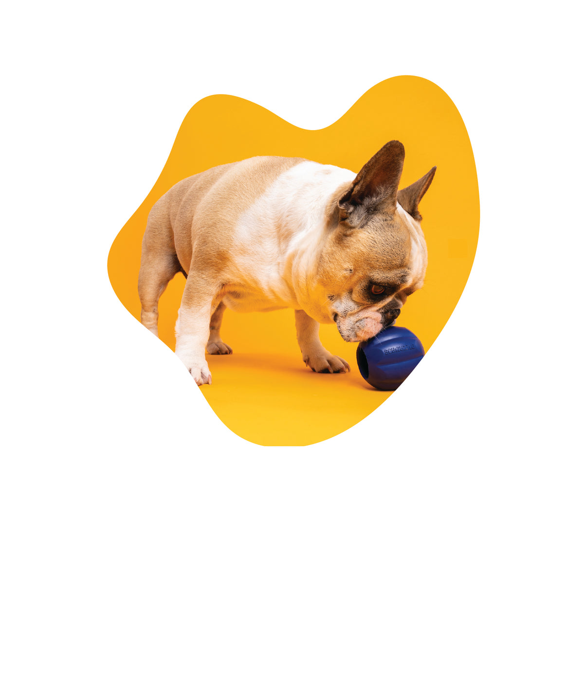 Schnuzzle | Like a ball, just 10,000x better – Schnuzzle Pty Ltd