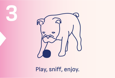 Schnuzzle | Like a ball, just 10,000x better